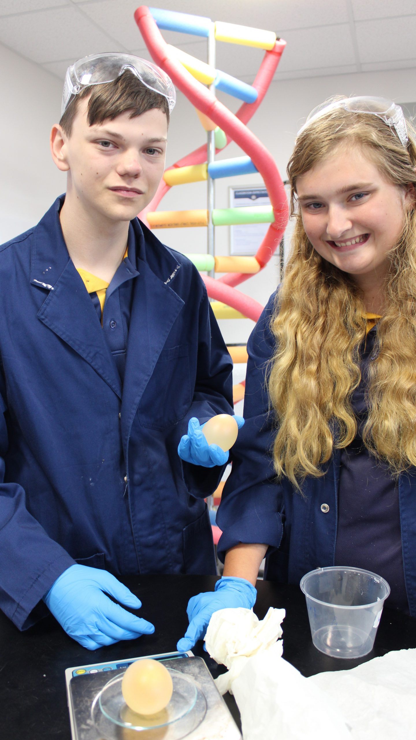 Horsham College | Year 11 & 12