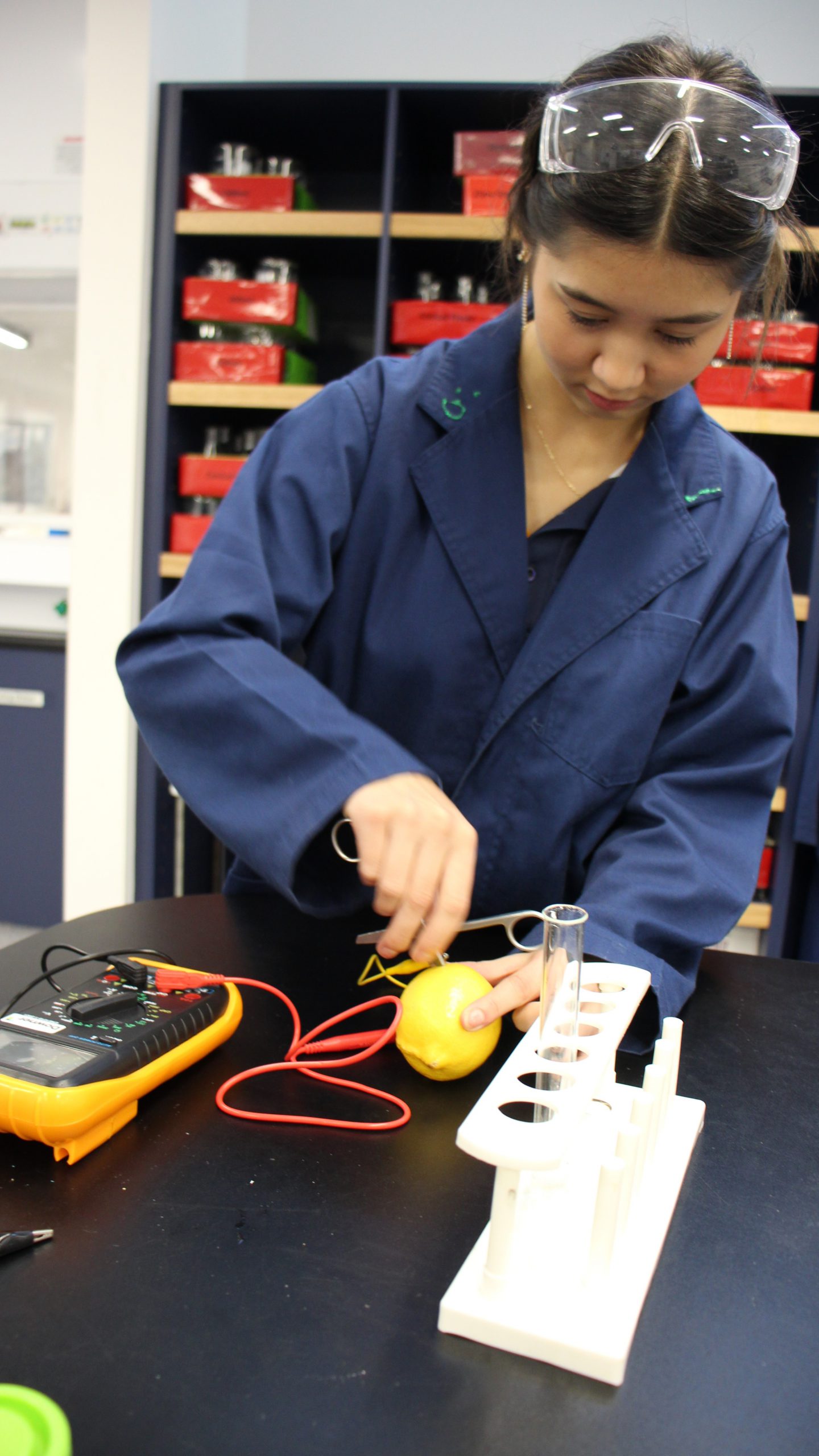 Horsham College | Year 11 & 12